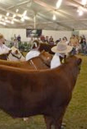 Princess Royal Station - Burra History